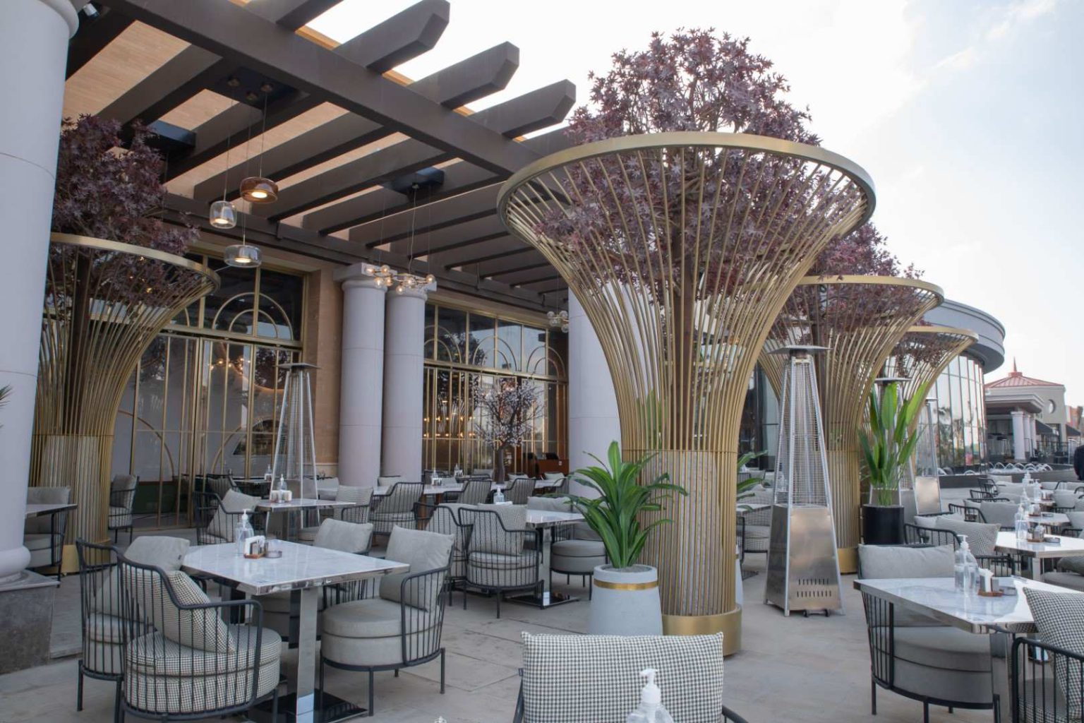 TED’S EGYPT RESTAURANT - Leta Sandalye ️